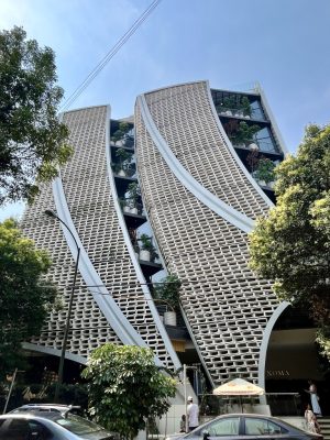 Why XOMA by Viadora Is the Perfect Home Base in Roma, Mexico City • My ...