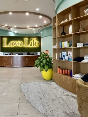 Love.Life Health + Wellness Club: Is It Worth It? • My Travelling Circus