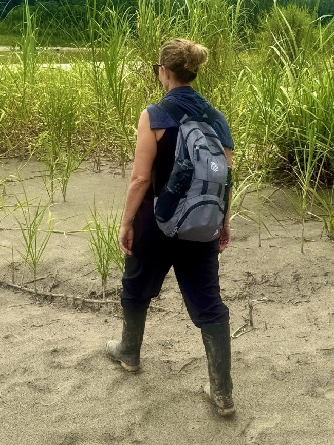 The Complete Guide to Visiting the Amazon Rainforest in Ecuador | My ...