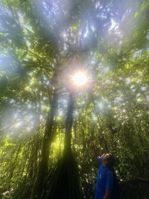 The Complete Guide to Visiting the Amazon Rainforest in Ecuador | My ...