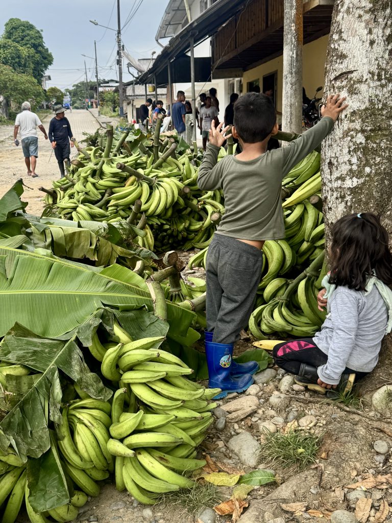 The Complete Guide to Visiting the Amazon Rainforest in Ecuador • My ...