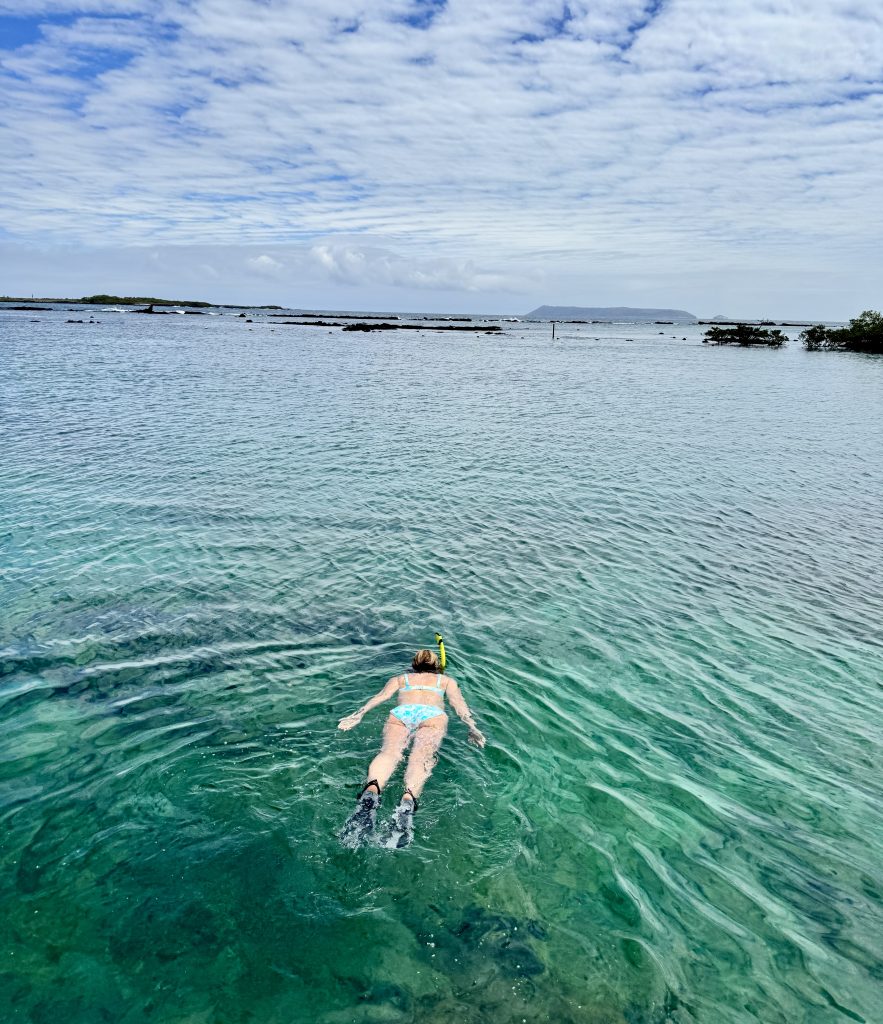 Isabela Island, Galapagos: All You Need to Know Before You Go - My ...